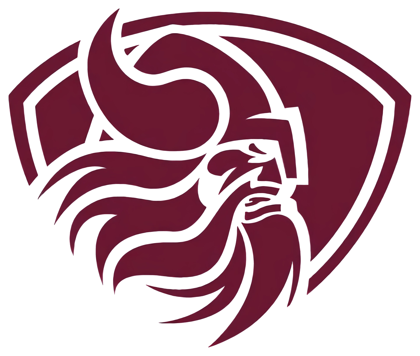 The MTSS Meeting Guide and Toolkit